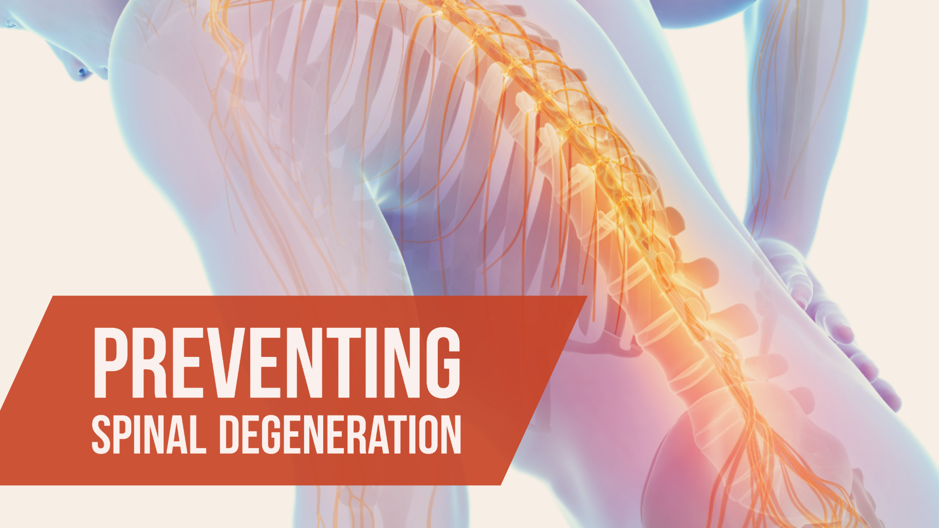 VIDEO: Preventing Spinal Degeneration | Chironexus News